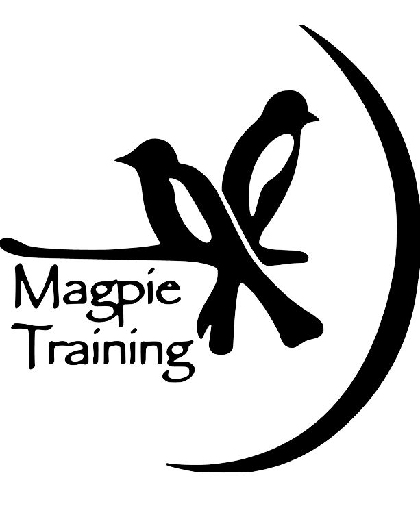 Magpie Training - courses, classes, and workshops on cademy.io
